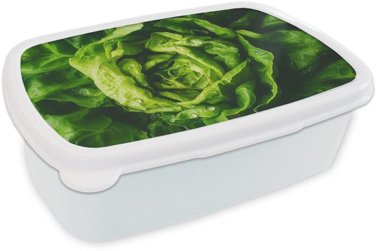 Broodtrommel Wit - Lunchbox Groente - Sla - Groen - Brooddoos 18x12x6 ...