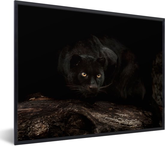 Fotolijst incl. Poster - Panter - Bos - Ogen - 40x30 cm - Posterlijst | bol