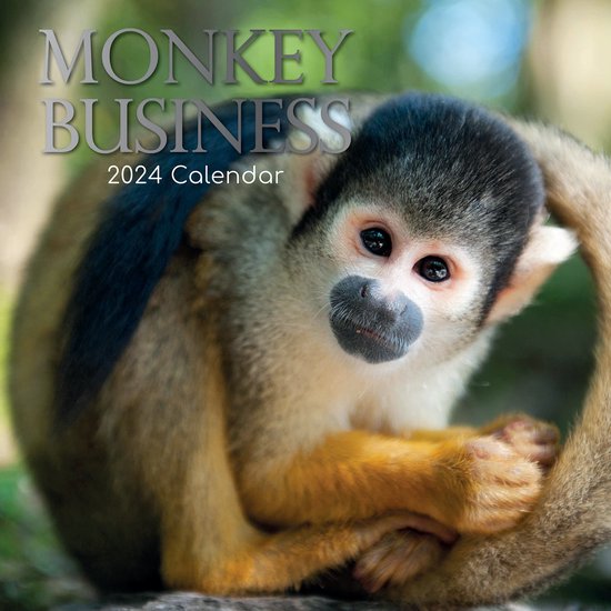 Monkey Business Kalender 2024 | bol