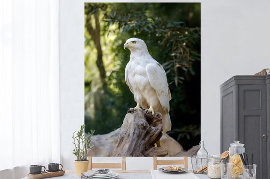 Muurstickers - Sticker Folie - Arend - Hout - Wit - Planten - 120x160 ...
