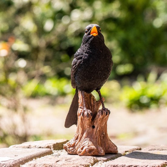 HotAnt Tuinbeeld dieren - Merel met geluid (Polystone) - Voor buiten - Tuin decoratie... | bol
