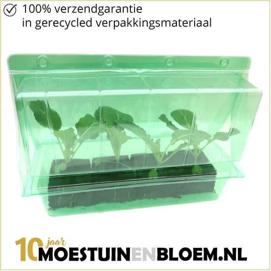 Tuin de Bruijn - Geranium staand - rode geraniums - 6 stuks ...