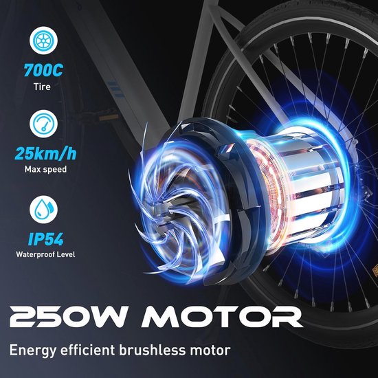 Elektrische fiets 27,5 inch met afneembare accu, 36V 12Ah, 250W motor ...