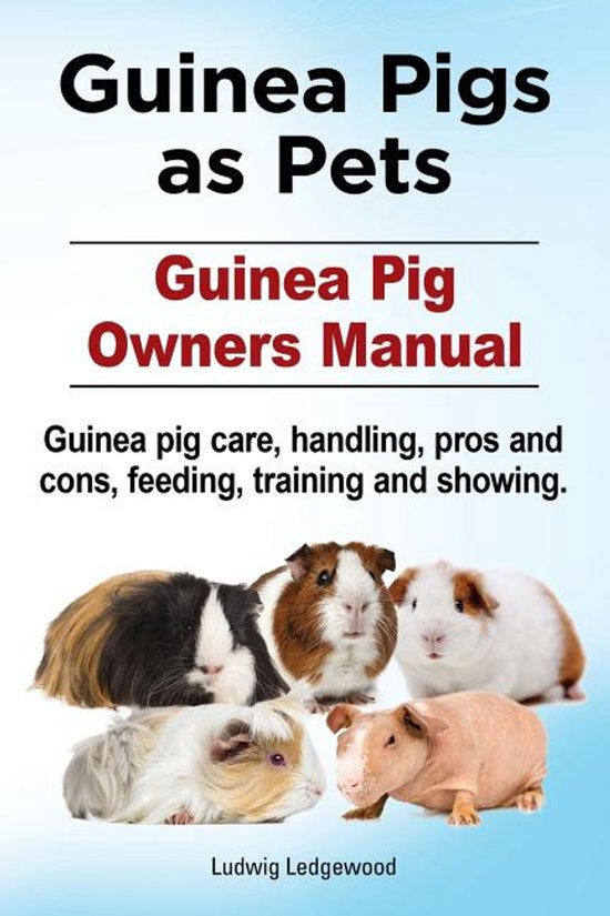 Guinea Pigs as Pets. Guinea Pig Owners Manual. Guinea pig care ...