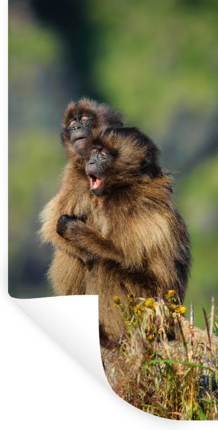 Muurstickers - Sticker Folie - Apen - Planten - Stenen - Familie ...