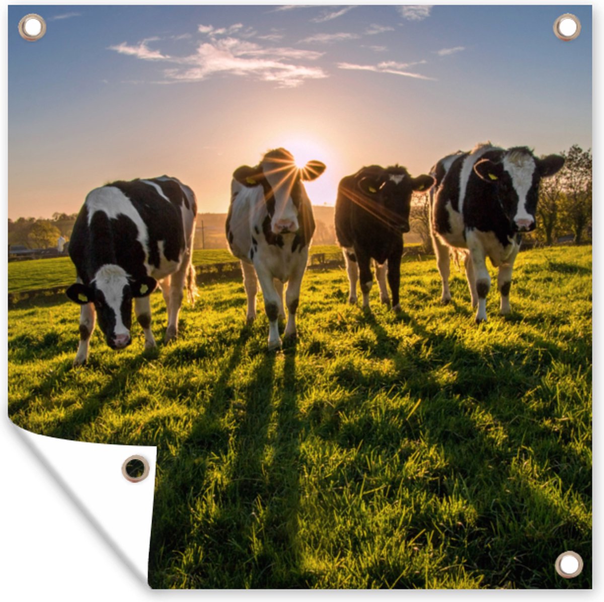 Posters de jardin Vache - Soleil - Herbe - 50x50 cm - Toile de jardin ...