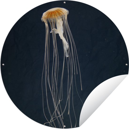 Garden Circle Méduse - Créature Marine - Tentacules - 90x90 cm ...