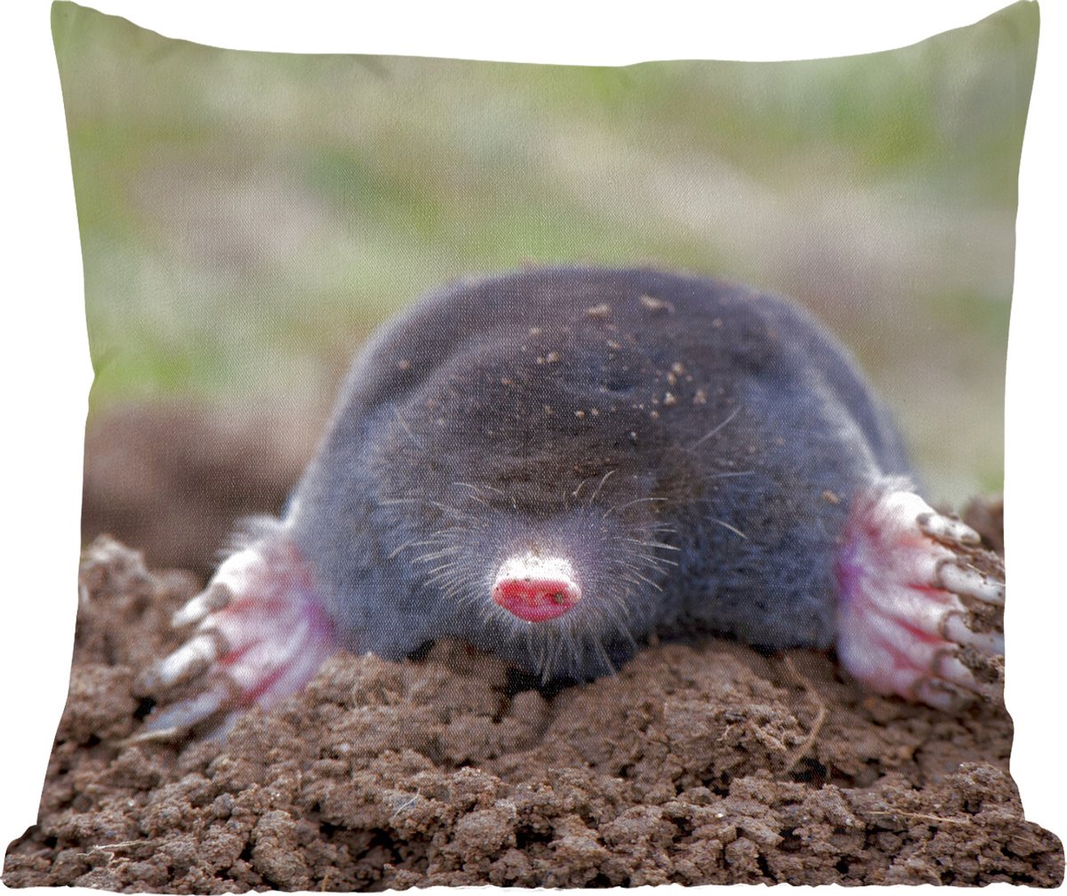 Sierkussen - Dier Mol Tuin - Multicolor - 60 Cm X 60 Cm | bol.com