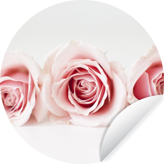 WallCircle - Muurstickers - Behangcirkel - Studioshot van drie roze rozen naast elkaar... | bol