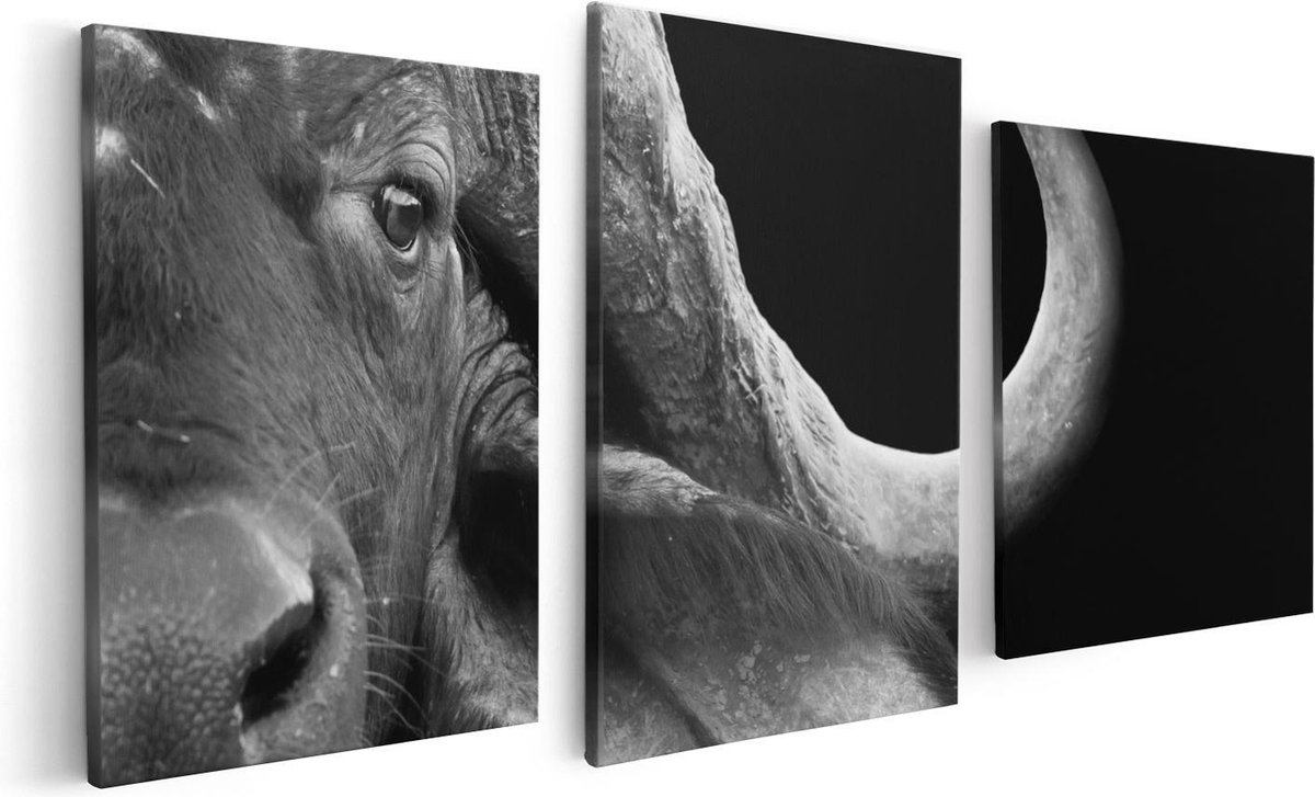 Artaza Canvas Schilderij Drieluik Buffel - Buffelkop - Zwart Wit - 120x60 - Foto Op... | bol.com