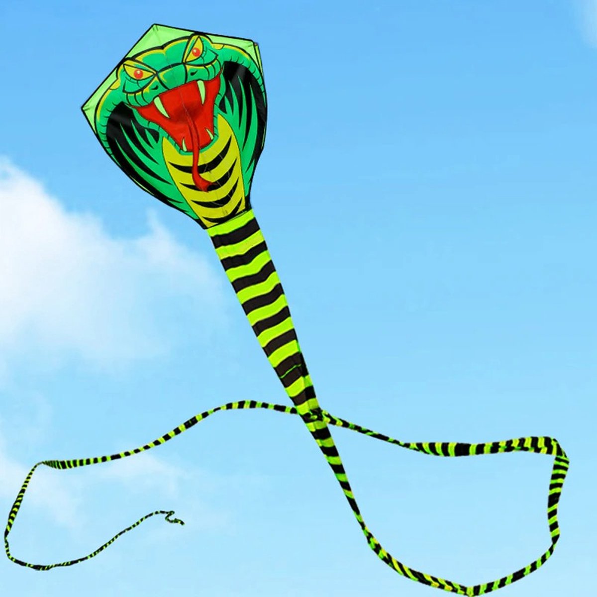 Kindervlieger - Vliegende Slang - Kite Vlieger voor Strand - Outdoor ...