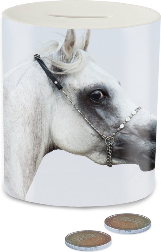 Spaarpot - Spaarblik - Paard - Zand - Pastel - Spaarpotten ...