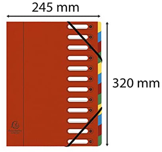 Harmonica Sorting Folder with Elastic and Cut-Out Windows - Glossy ...