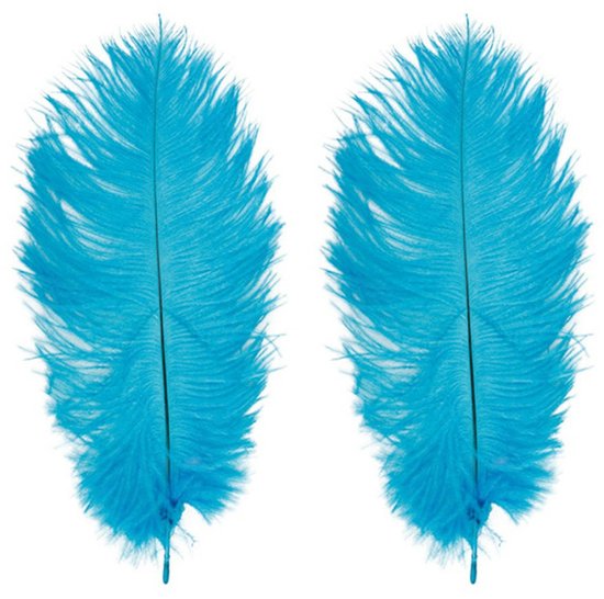 Plumes d'autruche Chaks Chimney Sweep Piet - 2x - Bleu aqua - 30-35 cm ...