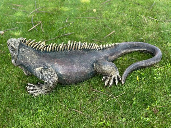 Goodyz- Leguaan Beeld- levensecht- 100cm lang- rood/goud | bol