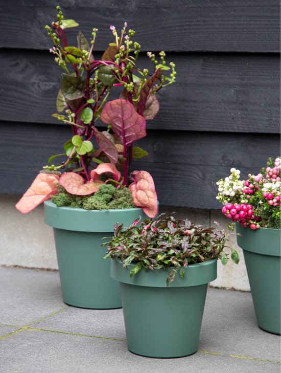 Mega Collections Plantenpot/bloempot - 3x - kunststof - donkergroen ...