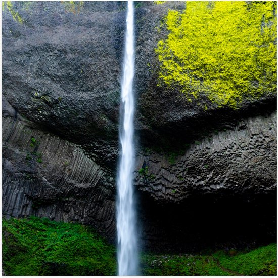 Poster (Mat) - Berg - Water - Waterval - Kleuren - Bomen - 80x80 cm ...