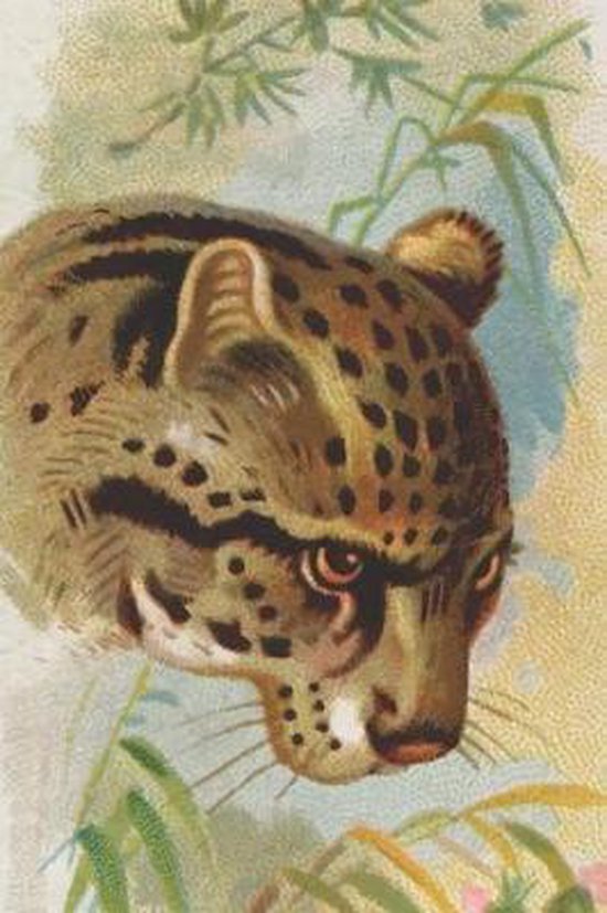 Ocelot, By The Book | 9781093673340 | Boeken | bol.com