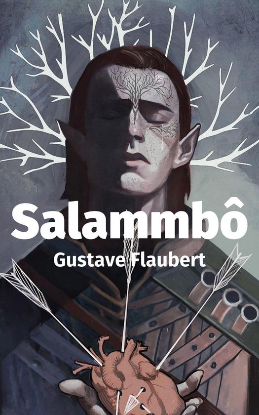 Salammbô (English) (ebook), Gustave Flaubert | 1230003426111 | Boeken ...