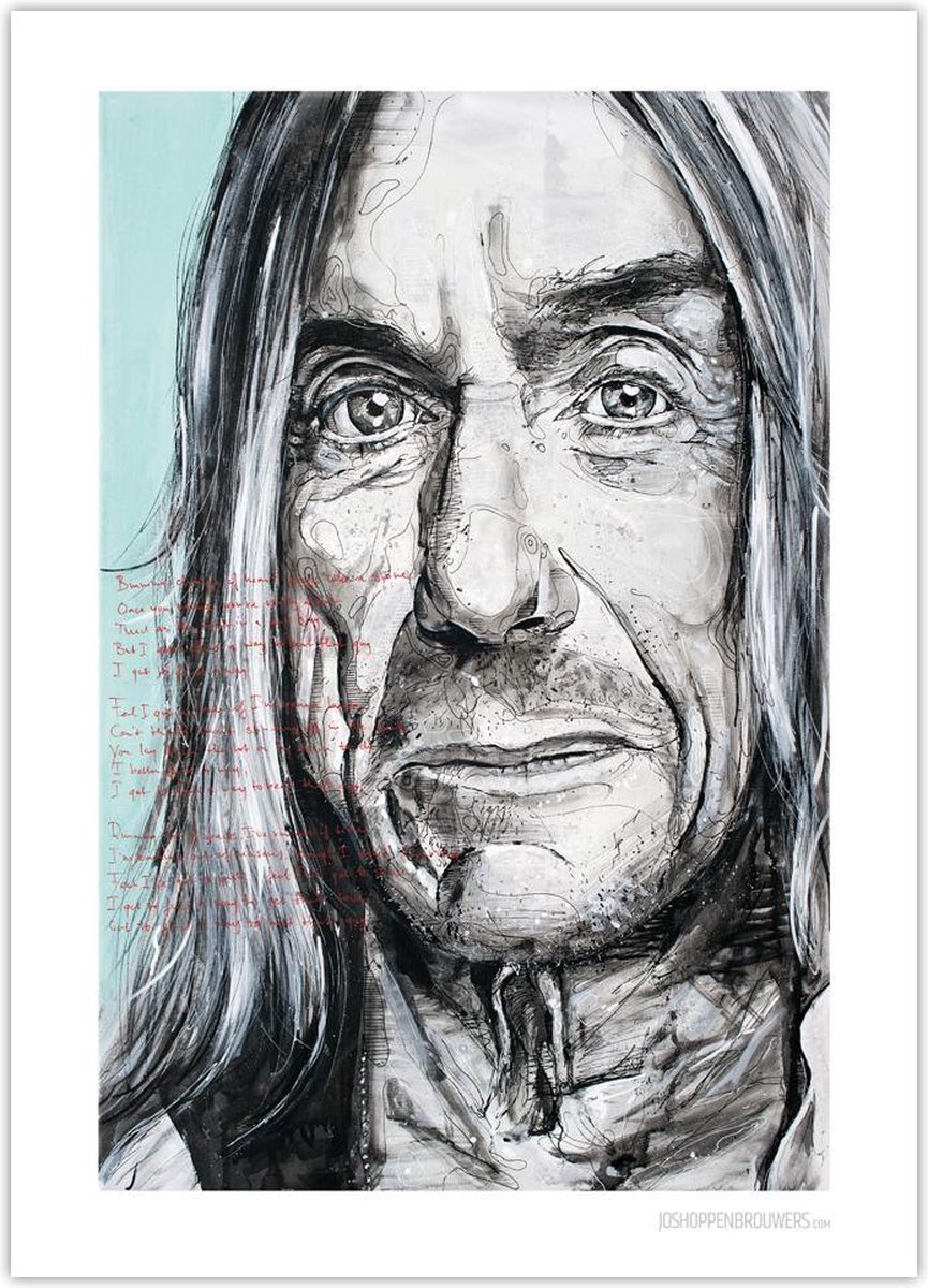 Iggy Pop poster | bol.com
