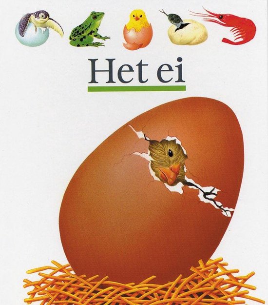 Het Ei, Onbekend | 9789054833512 | Boeken | bol.com