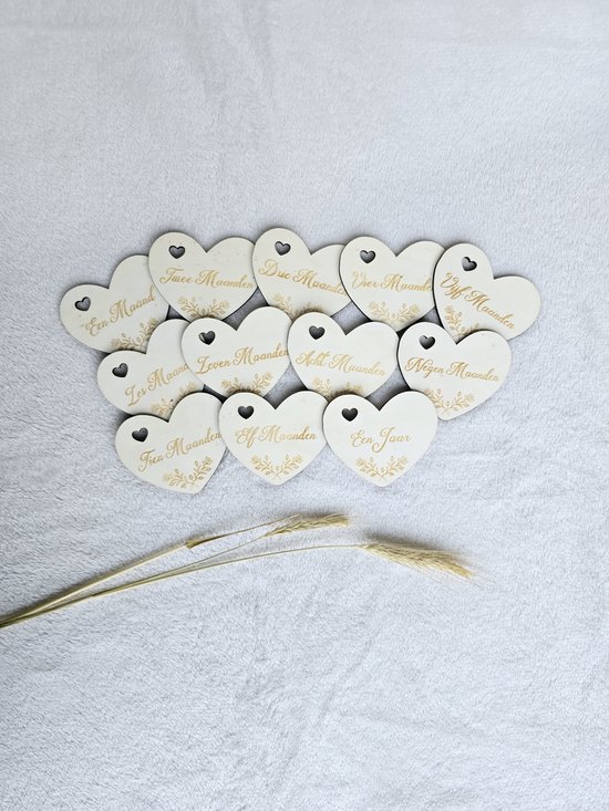 Mijlpaalkaarten - Mijlpaal schijven - Hout - 1 maand tm 1 jaar - Baby ...