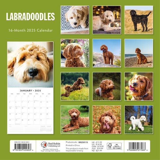 Labradoodle Kalender 2025 | bol