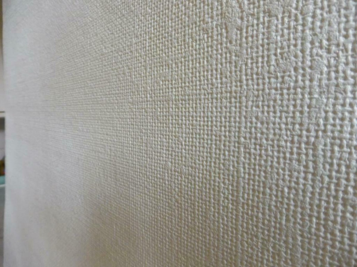 STRUCTUUR BEHANG | Basic - crème wit - BN Wallcoverings | bol.com