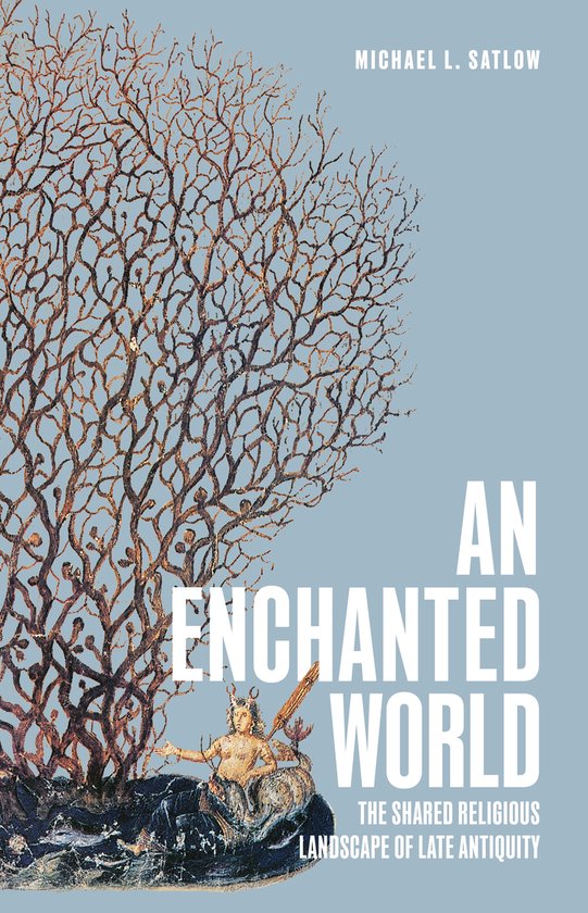 An Enchanted World, Michael L. Satlow | 9780691256597 | Boeken | bol