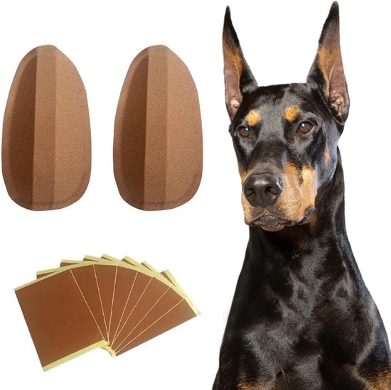 Outil de soin des oreilles pour chiens avec forme arquée - prévient la ...