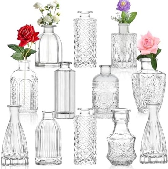 ST TRADING Glazen Bud Vaas Set van 12 - Kleine Mini Clear Bud Vazen in ...
