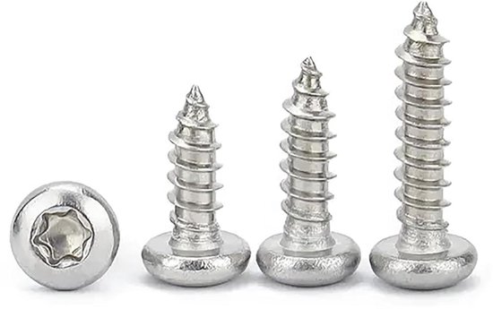CSGoods - RVS 304 Zelfborende Houtschroeven 100 stuks, Torx ...