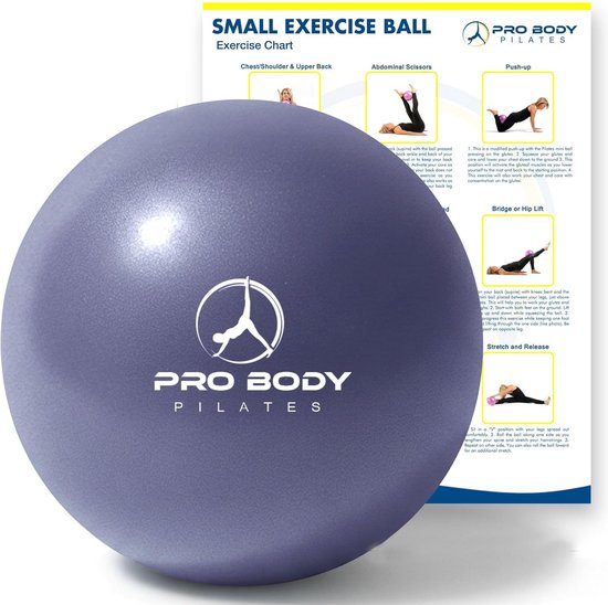 Mini Pilates Bal 9 inch - Oefenbal voor Yogasessies en ...