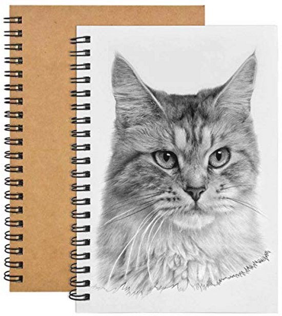 Schets Notebook Set A5 - 2 Pack - Spiraalgebonden Kunstenaarsnotities ...