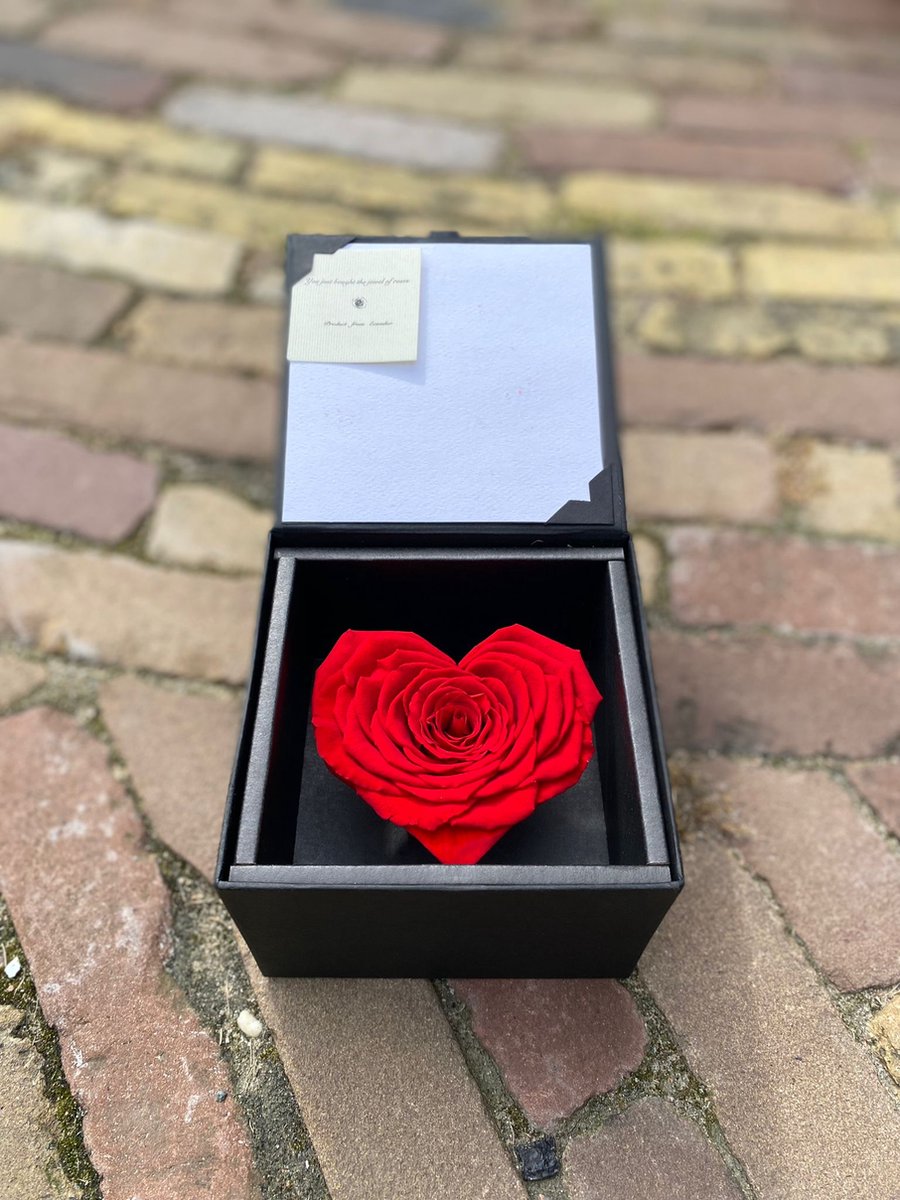 Longlife Roos 'hart' in giftbox | Eeuwige Roos voor Eeuwige Liefde ...