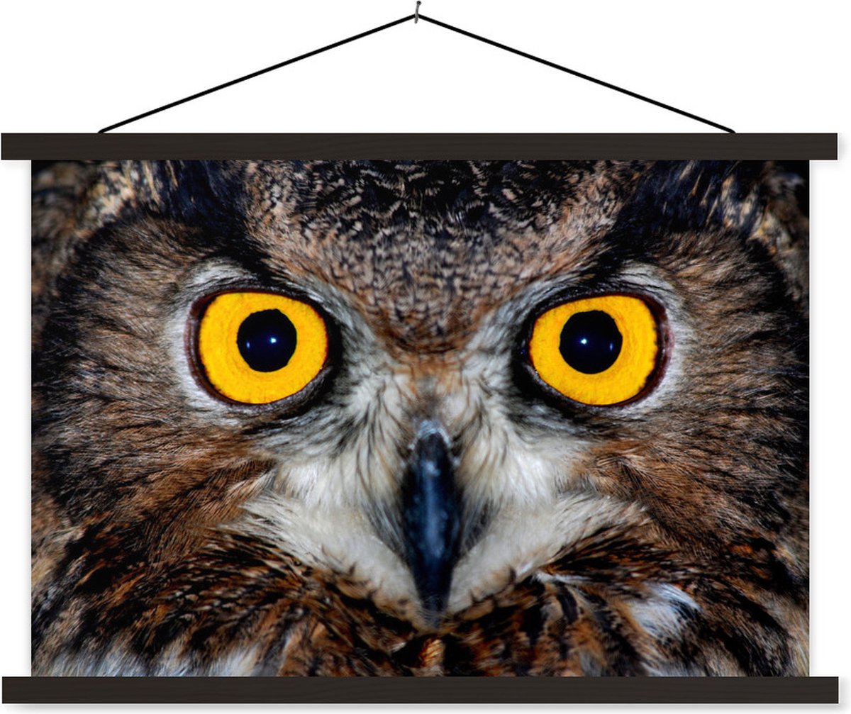 Gros plan d'un hibou grand-duc aux yeux jaune vif poster scolaire ...