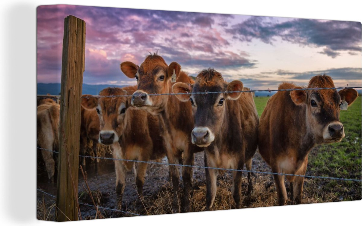 Tableau Peinture Vache - Animaux - Vaches - 80x40 cm - Décoration murale | bol.com