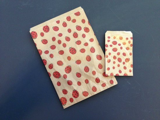 Inpakzakjes 21x30cm lieveheersbeestje verpakking van 1000 stuks | bol