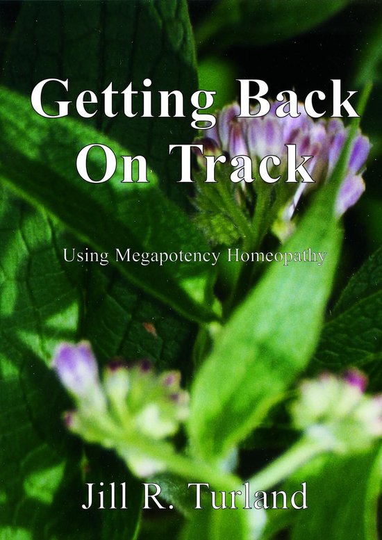 Getting Back On Track (ebook), Jill R Turland | 9781951670023 | Boeken ...