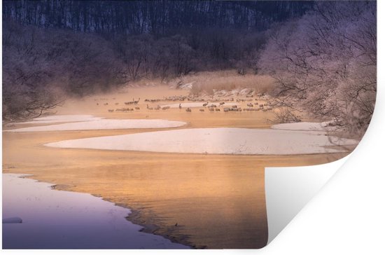 Muurstickers - Groep Chinese kraanvogels in een moeras - 90x60 cm ...