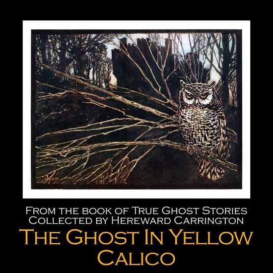 Ghost in Yellow Calico, The, Hereward Carrington | 9781987151503 ...