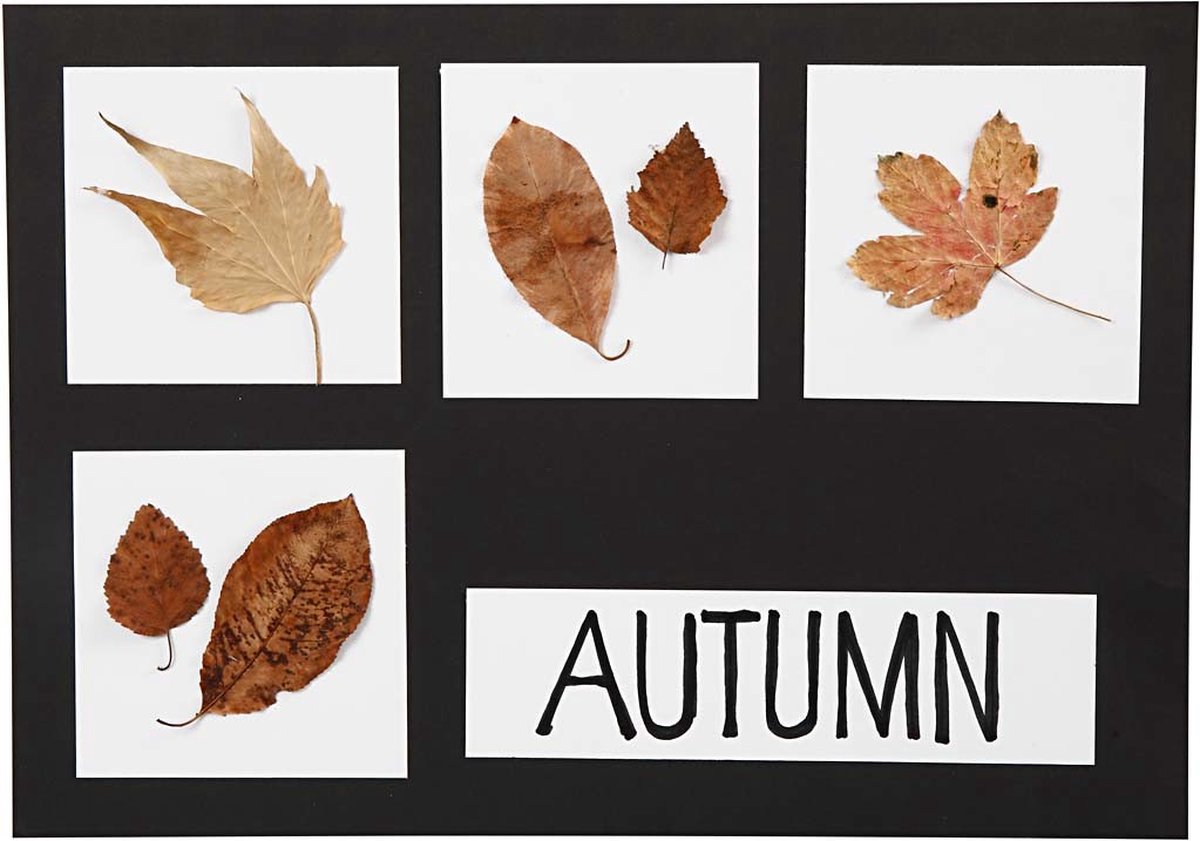 Karton, A2,A3,A4, 200+250 gr, zwart, wit, 600 div vellen/ 1 doos | bol.com