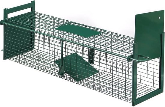 Rattenval met 2 ingangen | bol.com