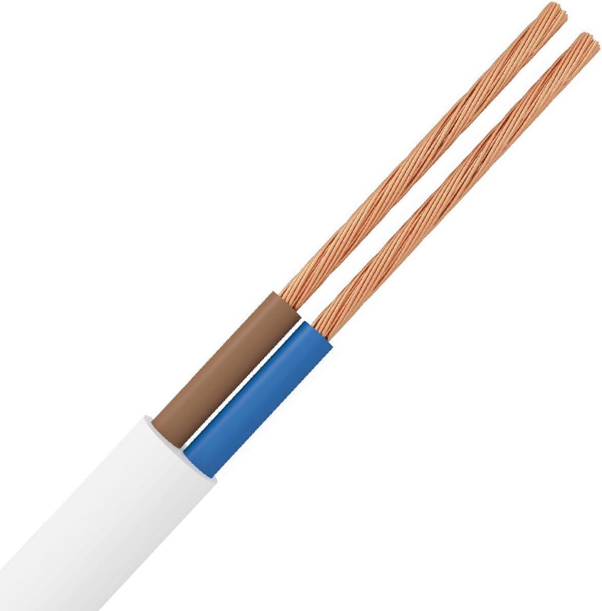 Câble d'alimentation - 2x1,5mm - 2 fils - 1 mètre - Wit | bol.com