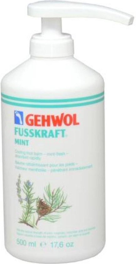 Gehwol Mint 500ml met Pomp | bol.com