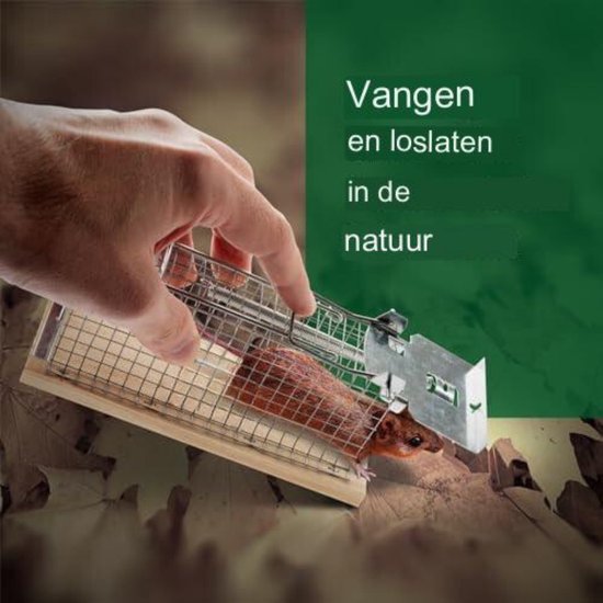 Bolture Muizenval Diervriendelijke - Muizenvallen voor Binnen | bol