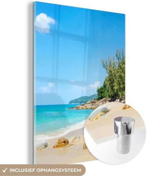 MuchoWow® Glasschilderij 30x40 cm - Schilderij acrylglas - Strand - Zee - Planten -... | bol