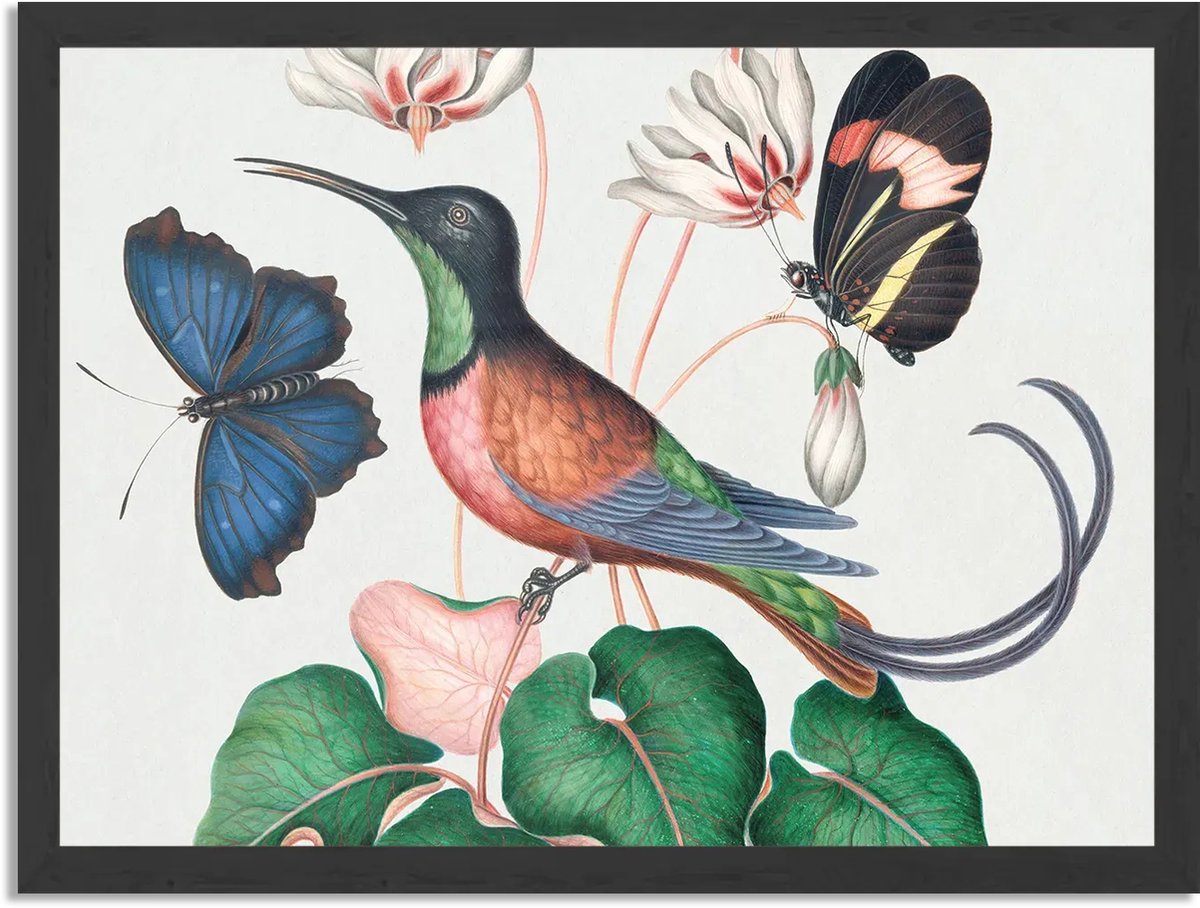 Poster Prent Natuur Vogel en Bloemen 07 Rechthoek Horizontaal Met Lijst ...