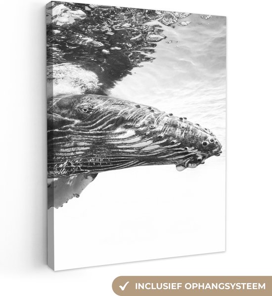 Canvas schilderij - Walvis - Water - Dieren - Zwart wit - Canvas doek ...