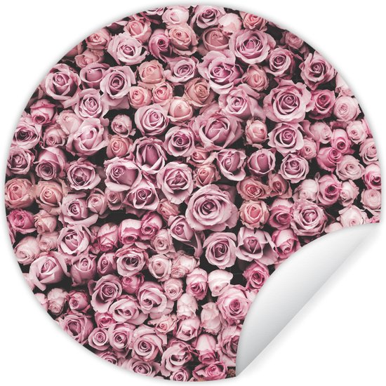 WallCircle - Muurstickers - Behangcirkel - Bloemen - Rozen - Natuur - Roze - Botanisch... | bol